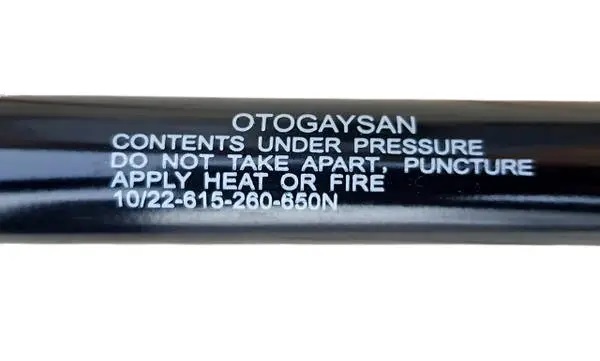 Trunk shock absorber